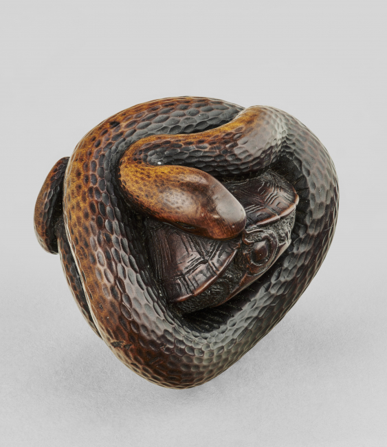A CARVED WOOD NETSUKE OF A SNAKE AND TURTLE